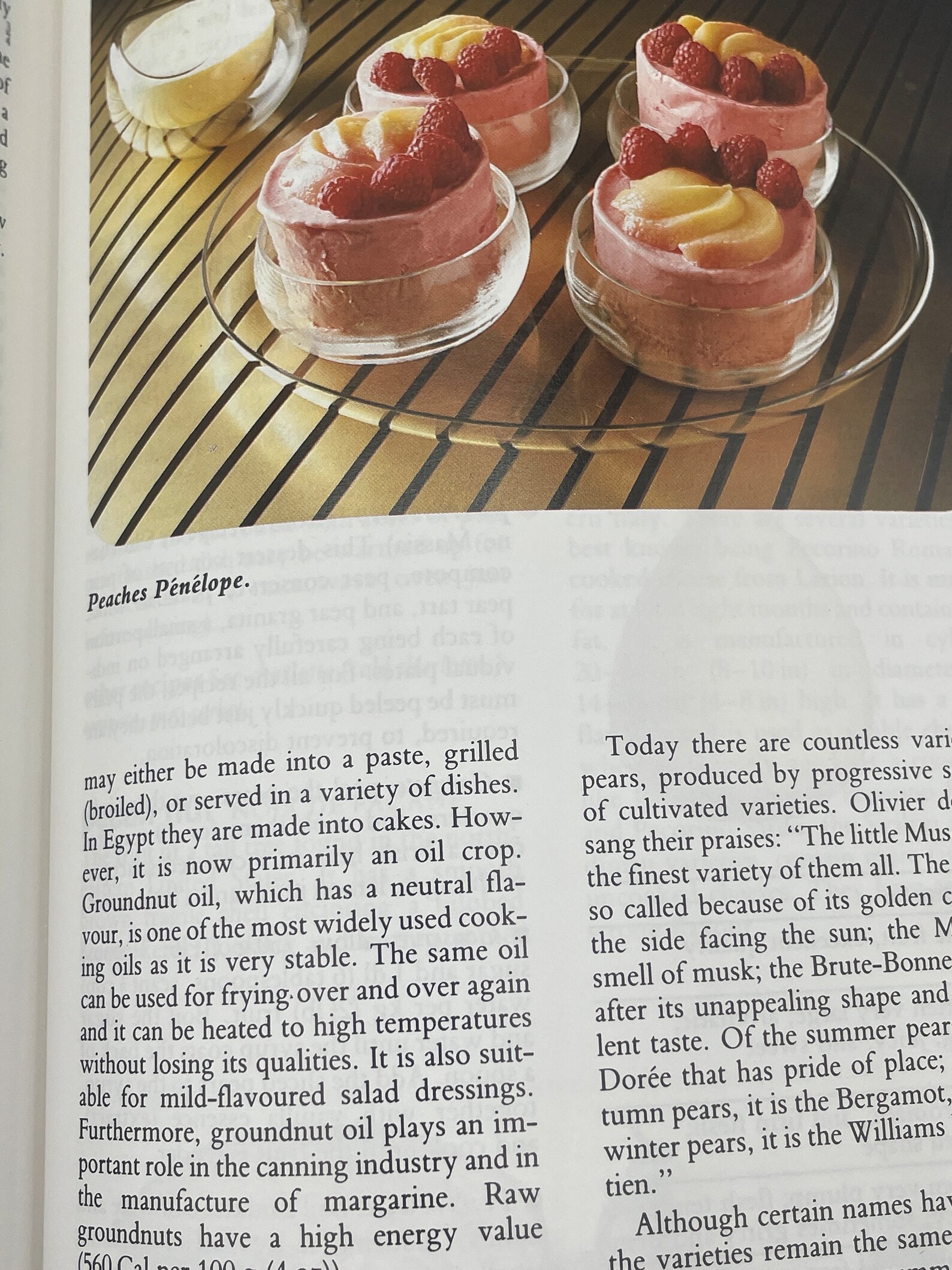 Vintage Larousse Gastronomique Cookbook: New American Edition - Etsy