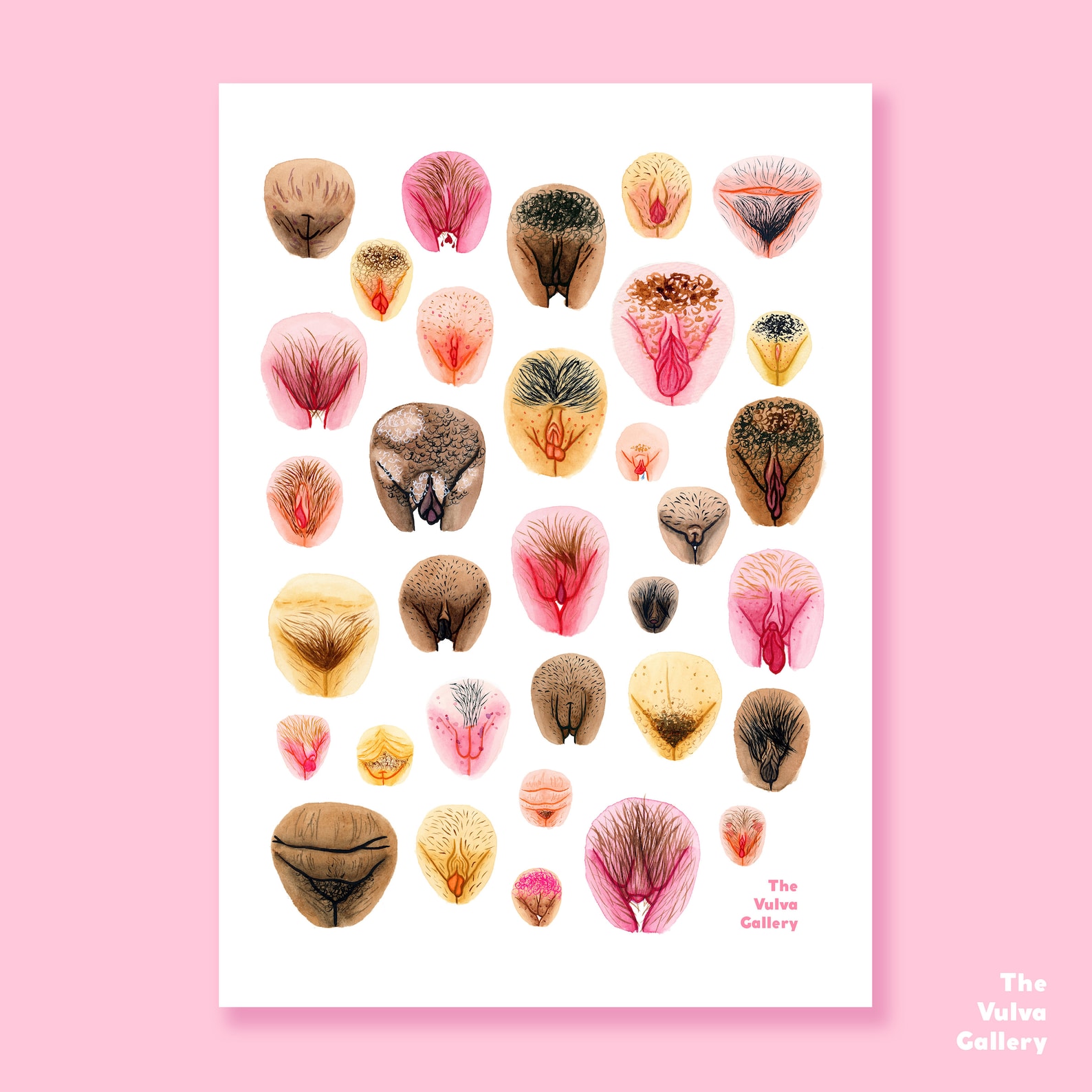 Art Print Vulva Variety Ii The Vulva Gallery Etsy España