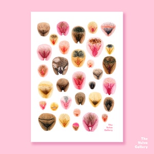 Large Art Print Vulva Variety Ii The Vulva Gallery Etsy