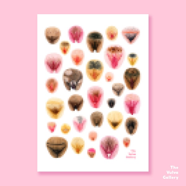 Vulva Variety Print - Etsy