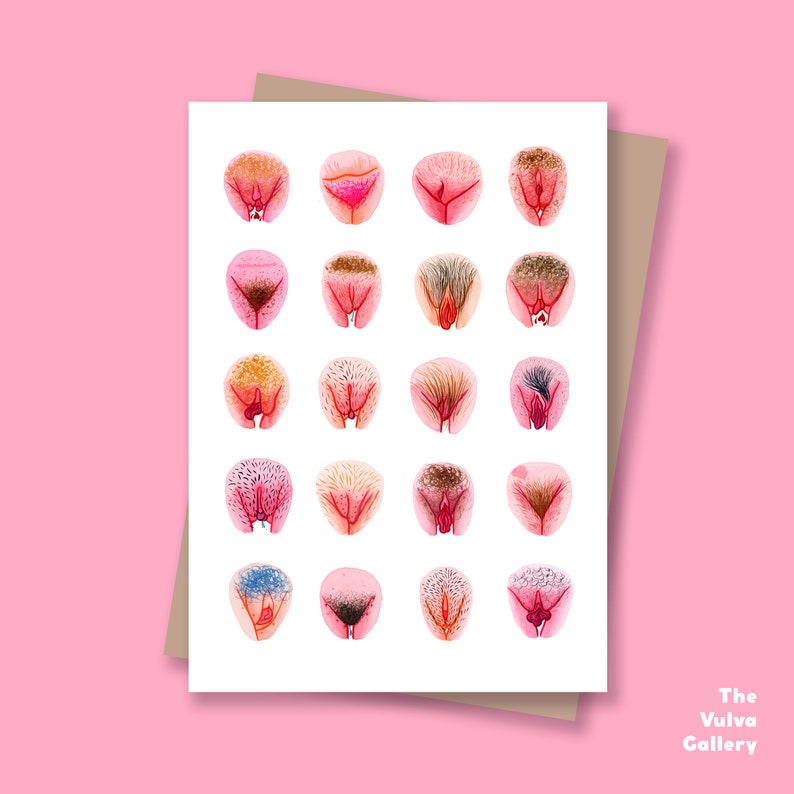 Postcard Set Vulva Diversity the Vulva Gallery - Etsy
