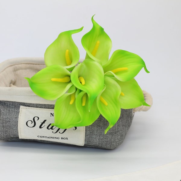 Green Calla Lilies - Etsy
