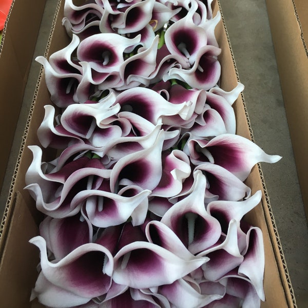 Plum Calla Lilies - Etsy