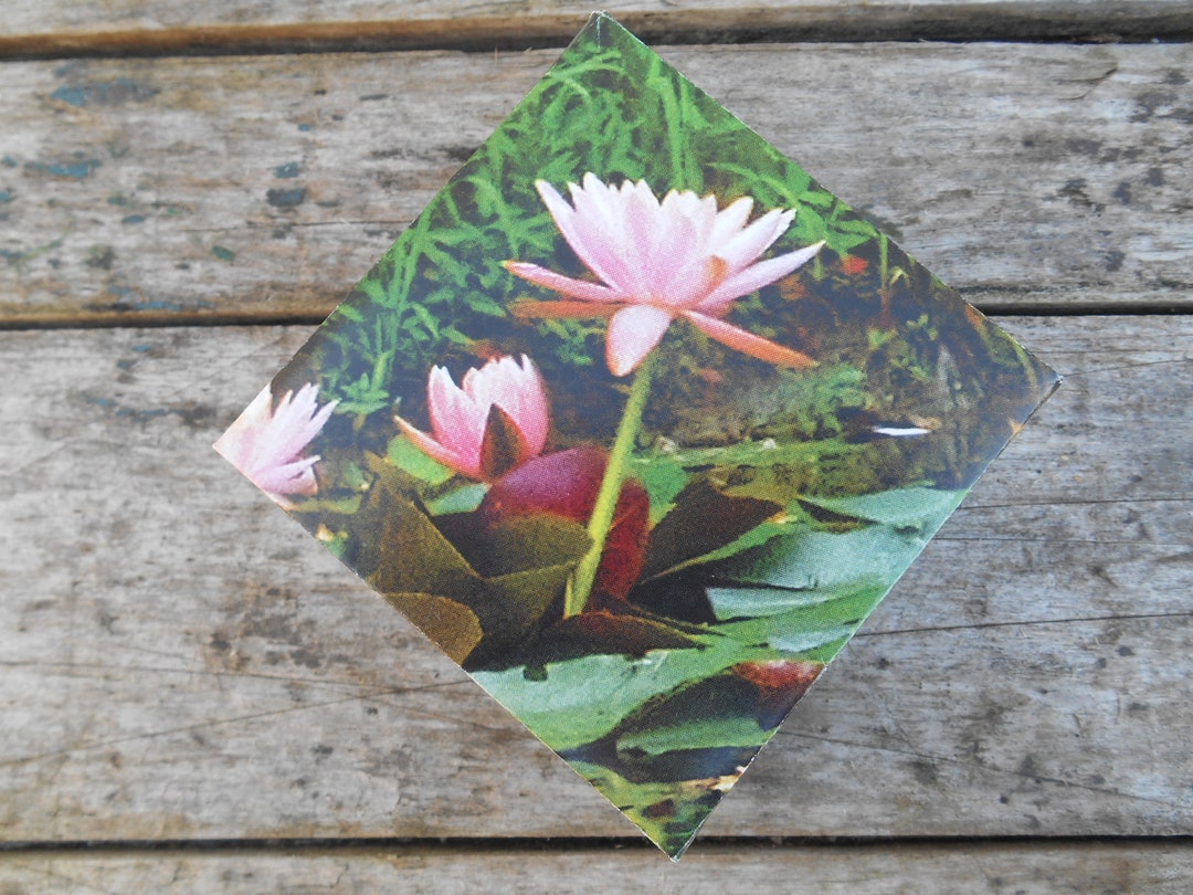 Handmade Origami Gift Box: Pink Water Lily, Upcycled Catalog (3 Inch ...