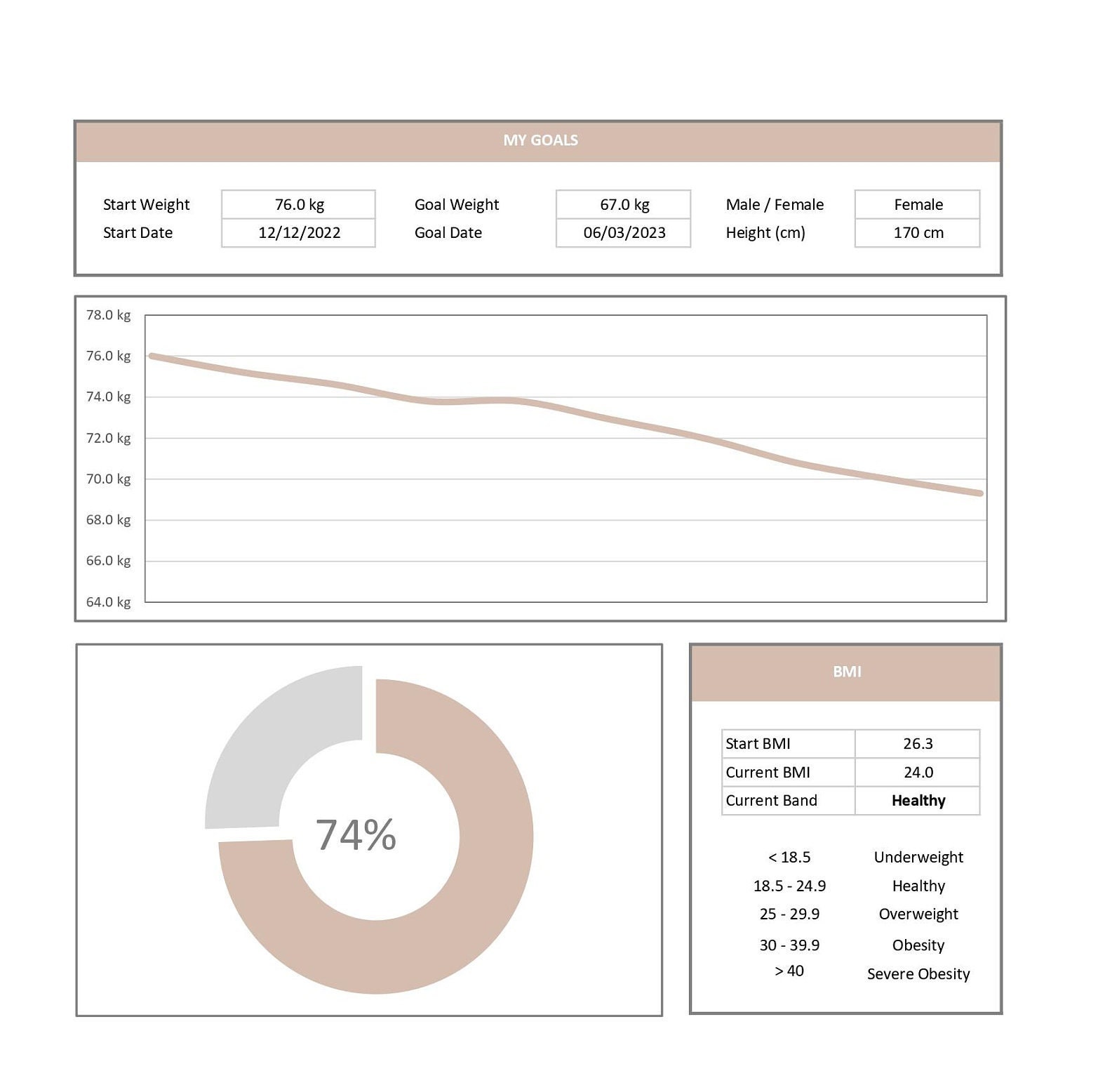 Weight Loss Tracker Microsoft Excel Easy to Use - Etsy