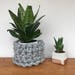 Felted Wool Baskets - Etsy
