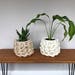 Felted Wool Baskets - Etsy