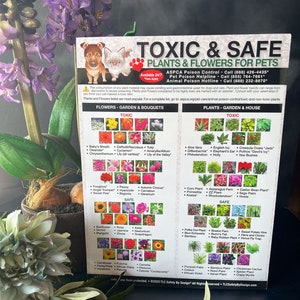 Magnetic List Chart of Toxic & Safe House Plants Garden Flowers for ...