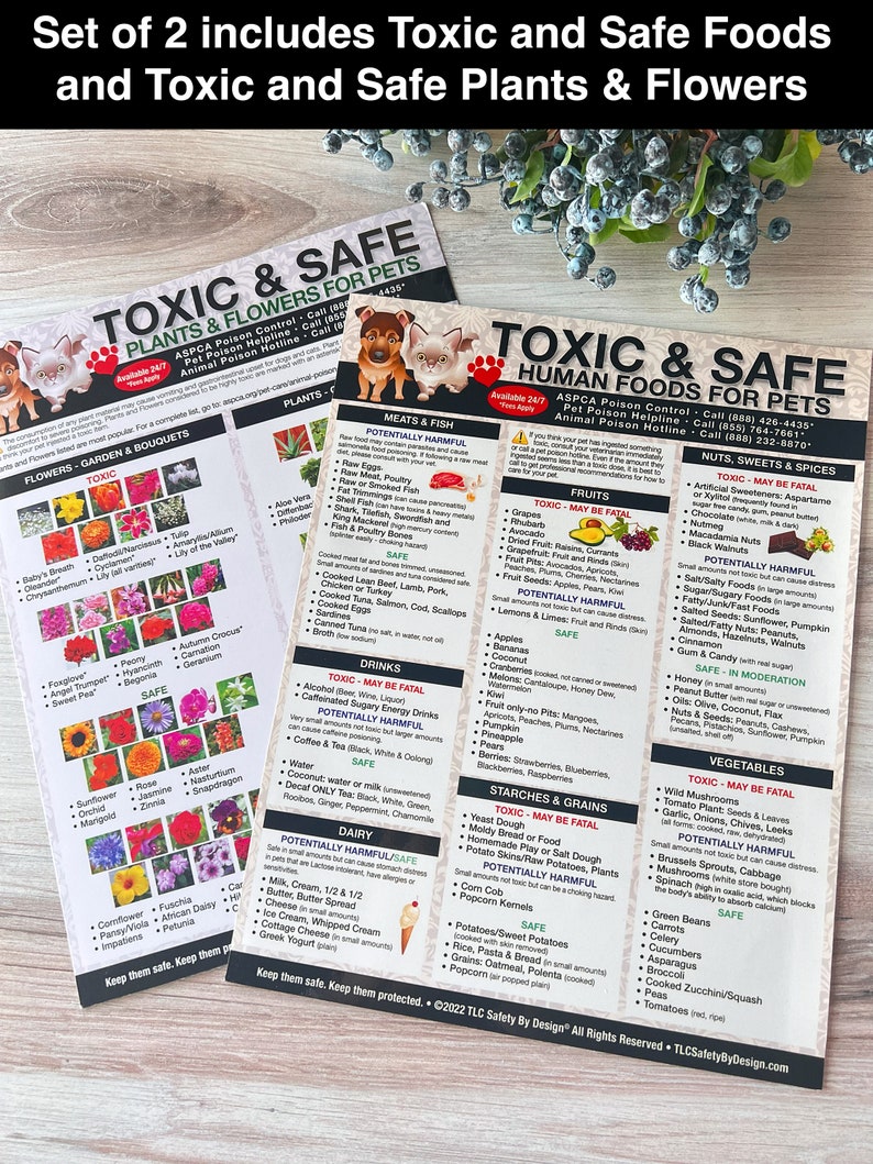 Magnetic List Chart of Toxic & Safe House Plants Garden Flowers for ...