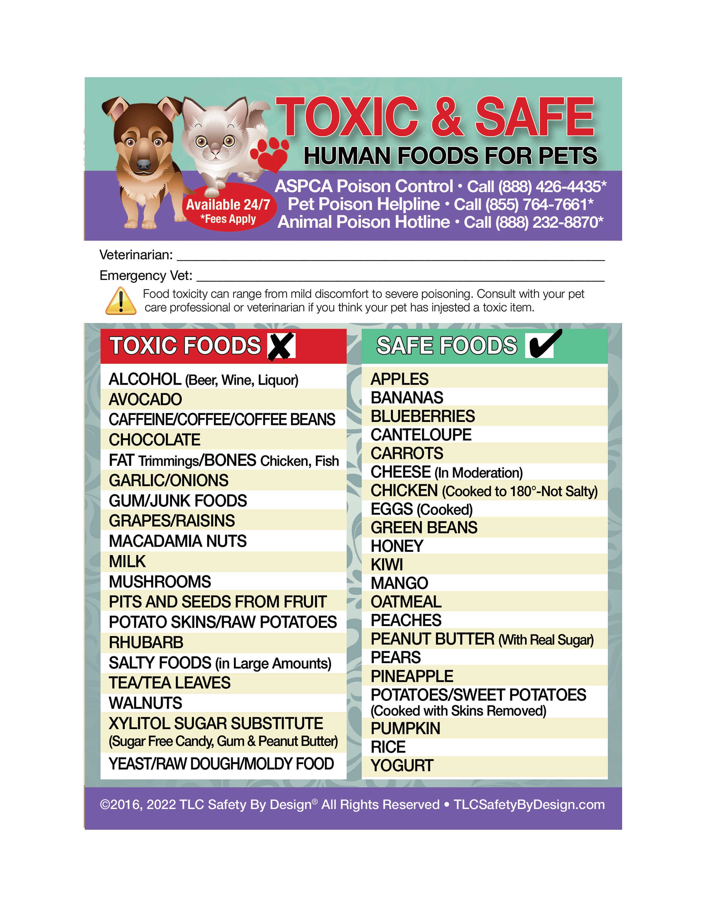 What Foods Are Not Good For Dogs
