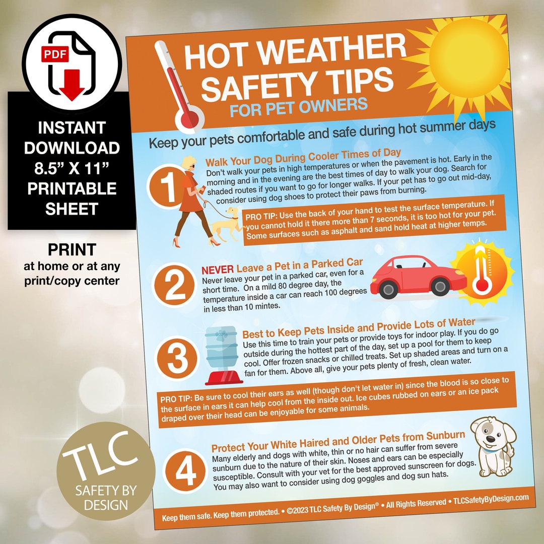Downloadable PDF 8.5 X 11 Hot Weather Summer Safety Tips for Pets Dogs ...