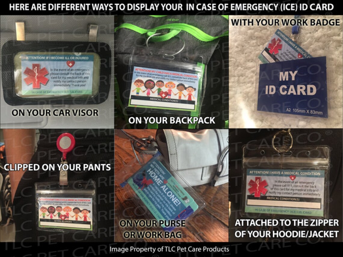 PET EMERGENCY CARD & Key Tag in Case of Emergency Contact | Etsy Canada