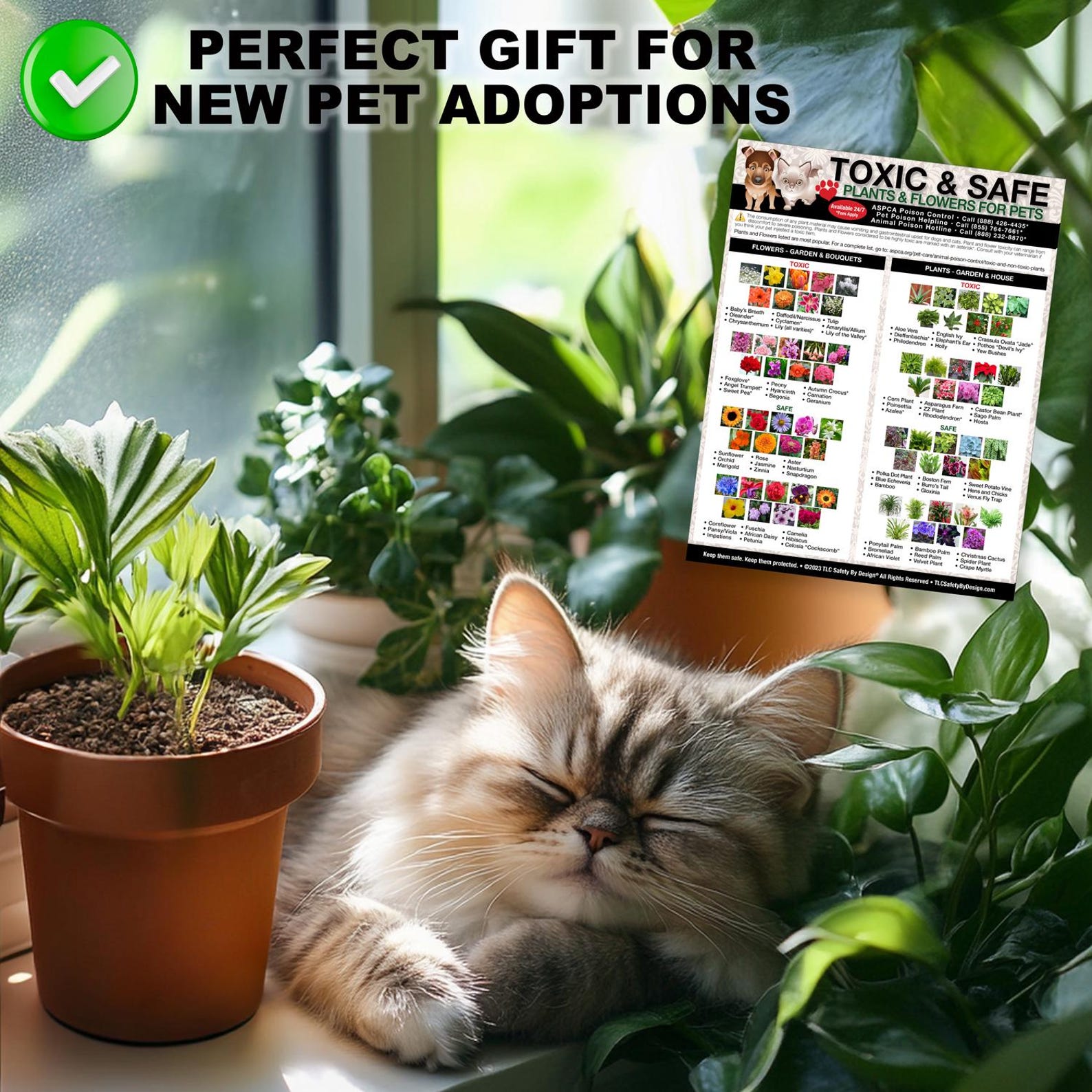 Magnetic List Chart of Toxic & Safe House Plants Garden Flowers for ...