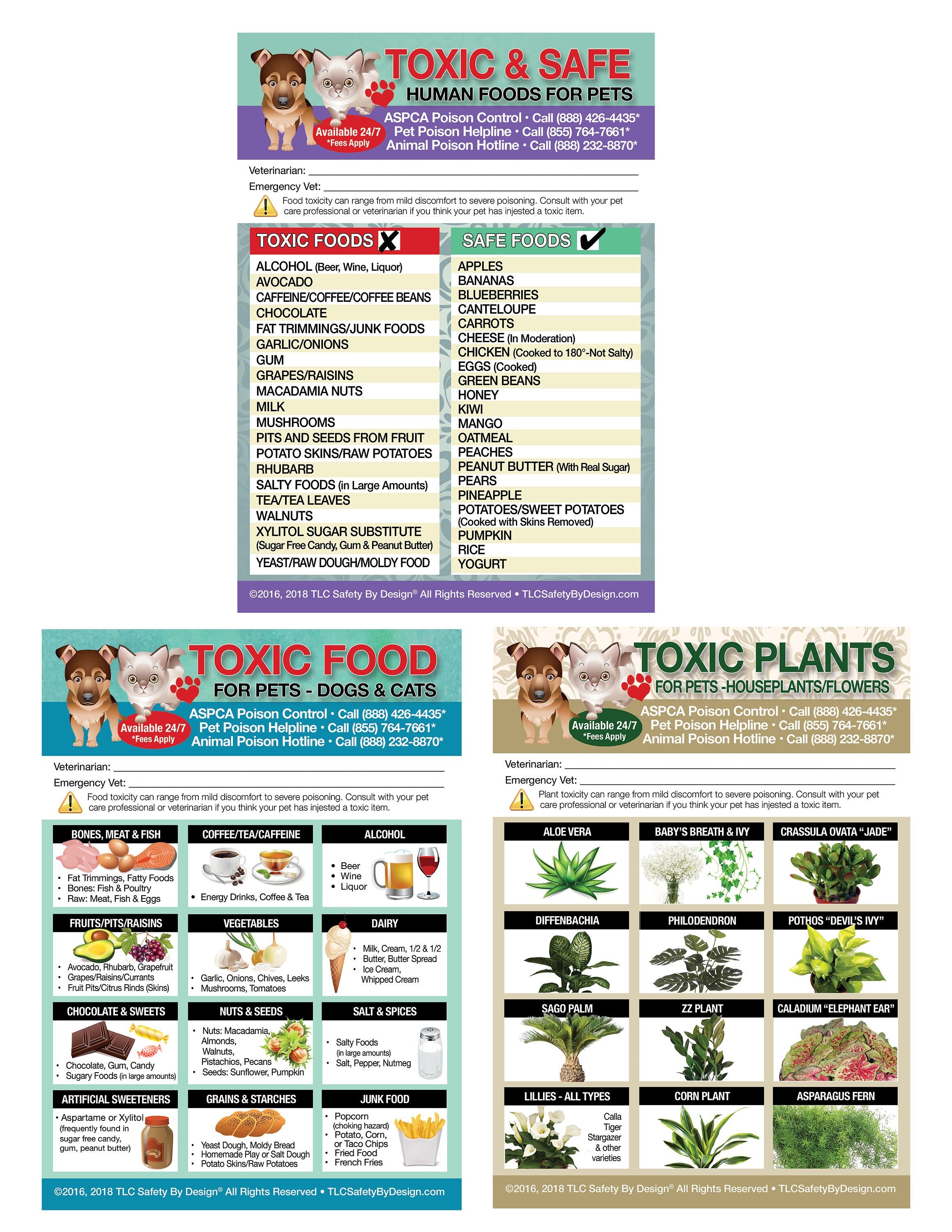 Toxic Foods For Dogs Poster