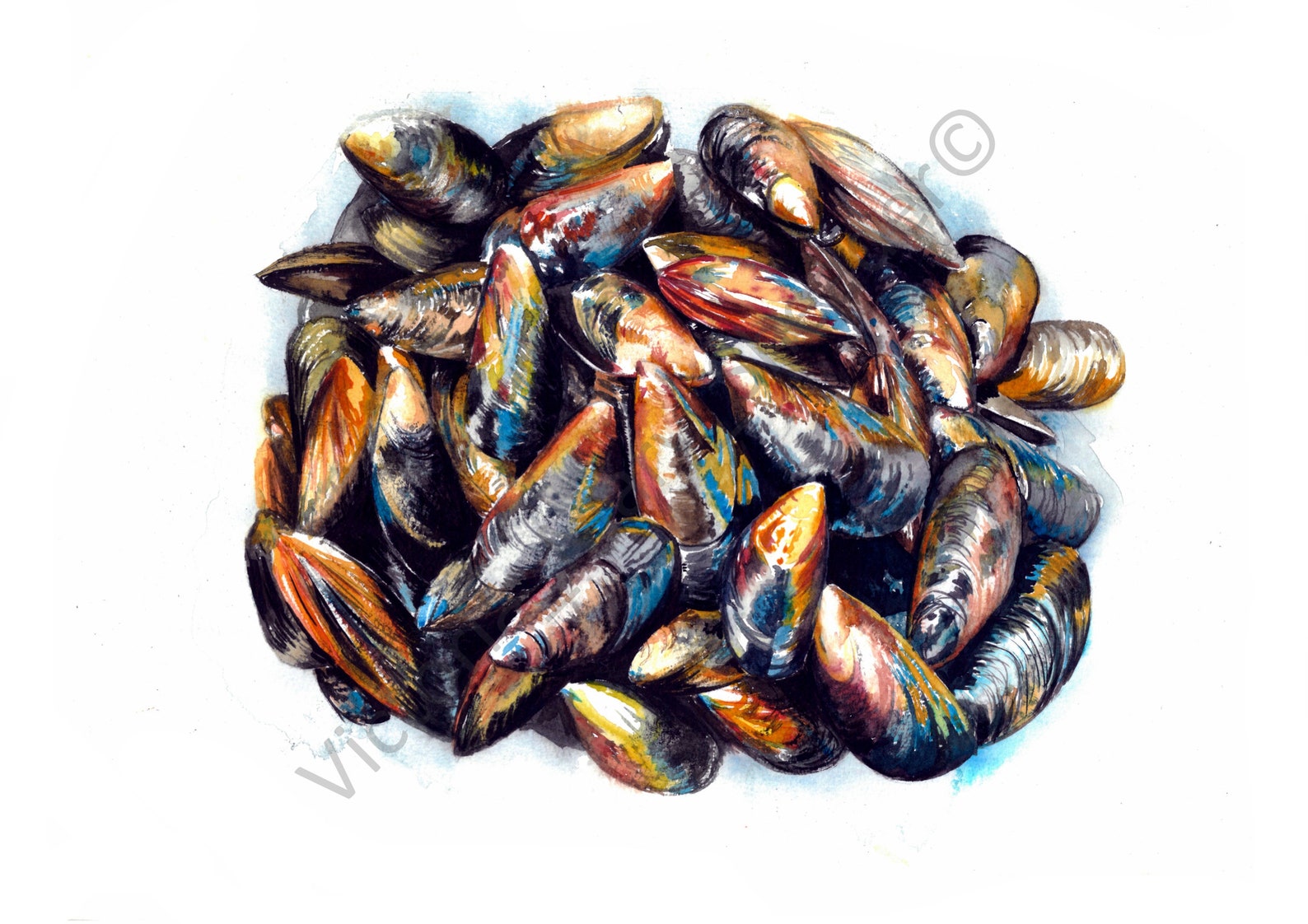 Watercolour & Ink MUSSELS Print A4 by VMS (from Original Artwork) - Etsy