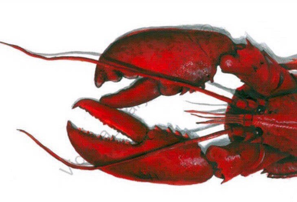 Acrylic & Ink LOBSTER Print A3 by VMS from Original Artwork - Etsy