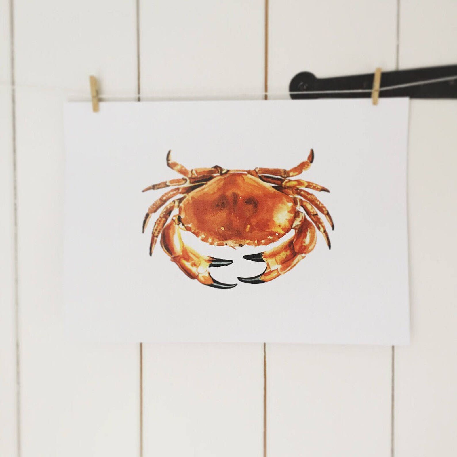 Ink CRAB Print A4 by VMS (from Original Artwork) - Etsy