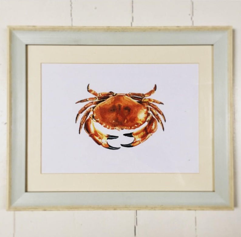 Ink CRAB Print A4 by VMS (from Original Artwork) - Etsy