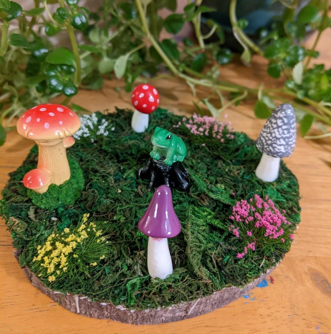 Miniature Fairy Garden With Frog and Toadstools - Etsy