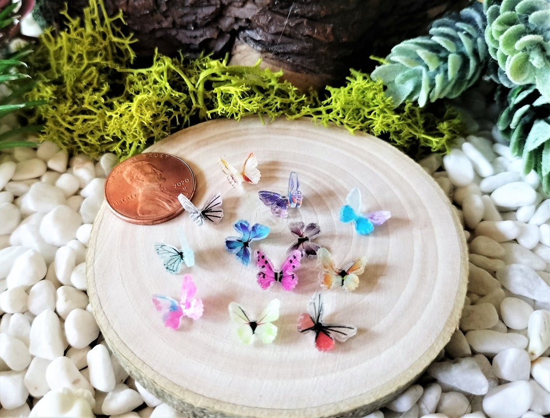 TINIEST Butterflies - Micro Miniature - Random Color Mix - Fairy Garden ...