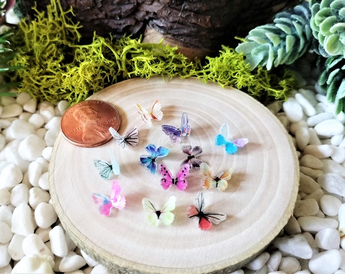 TINIEST Butterflies - Micro Miniature - Random Color Mix - Fairy Garden ...