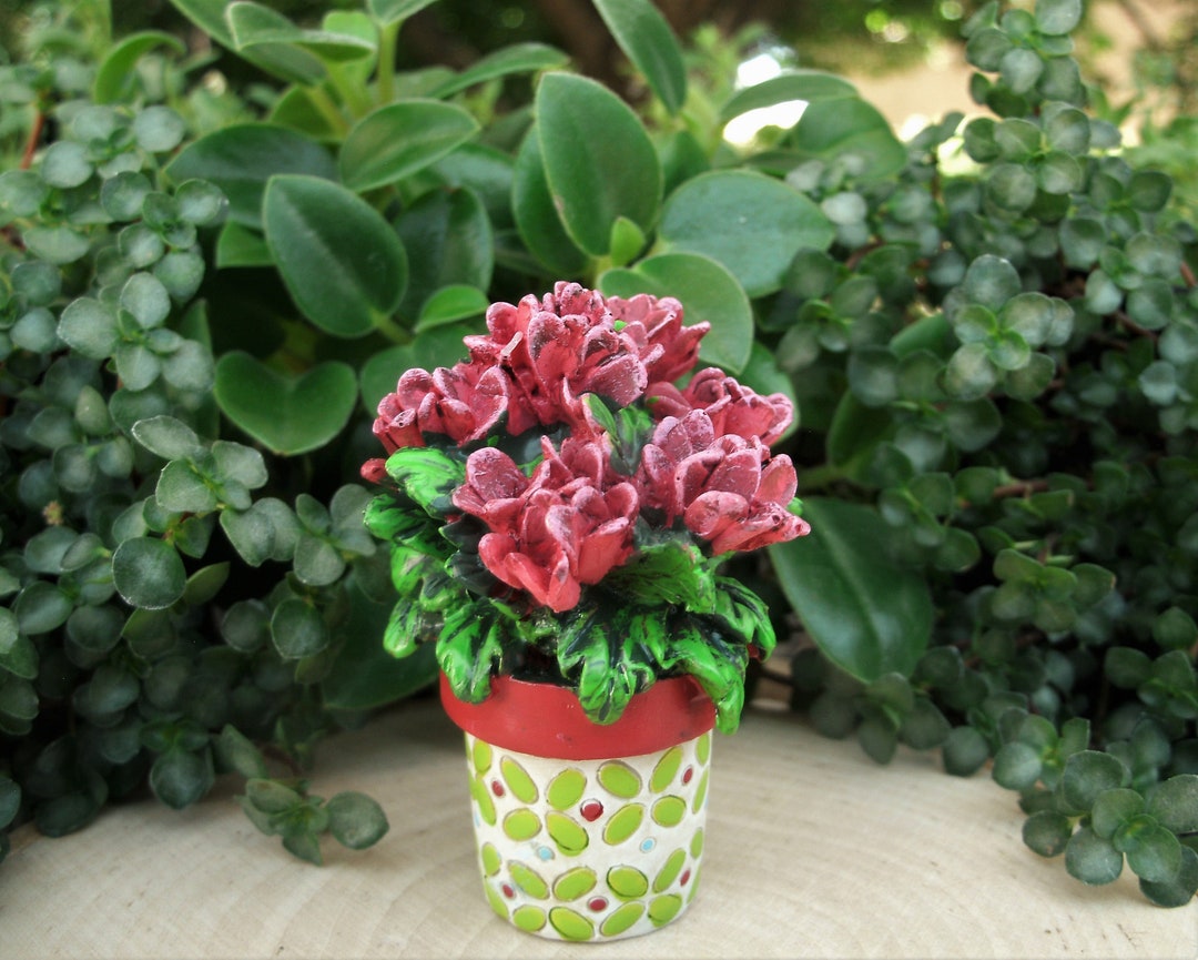 2 1/4" Mini Potted Geranium - Fairy Garden - Terrarium - Miniature ...