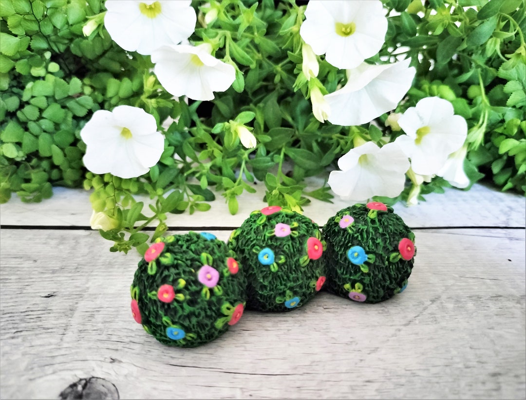 1" X 3 3/4" Mini Flowering Shrubs - Bushes - Fairy Garden - Terrarium ...