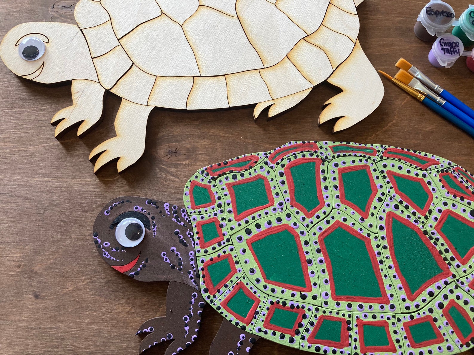 DIY Kit DIY Craft Kit Turtle Painting Kit Paint at Home - Etsy