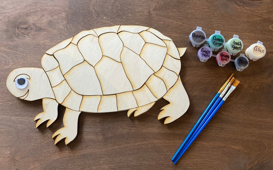 DIY Kit DIY Craft Kit Turtle Painting Kit Paint at Home - Etsy