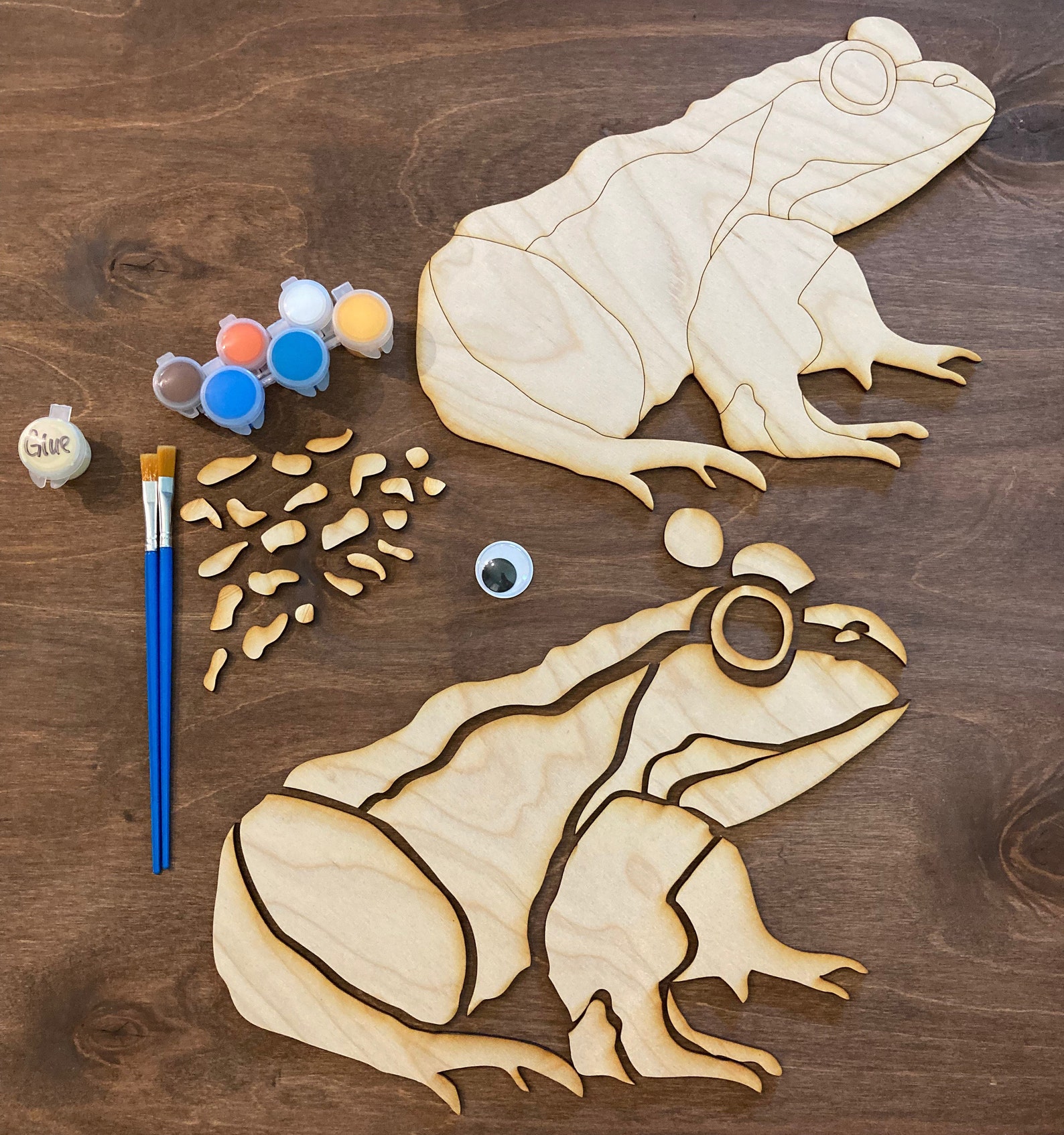 DIY Kit DIY Craft Kit Frog Painting Kit Paint at Home Kit | Etsy