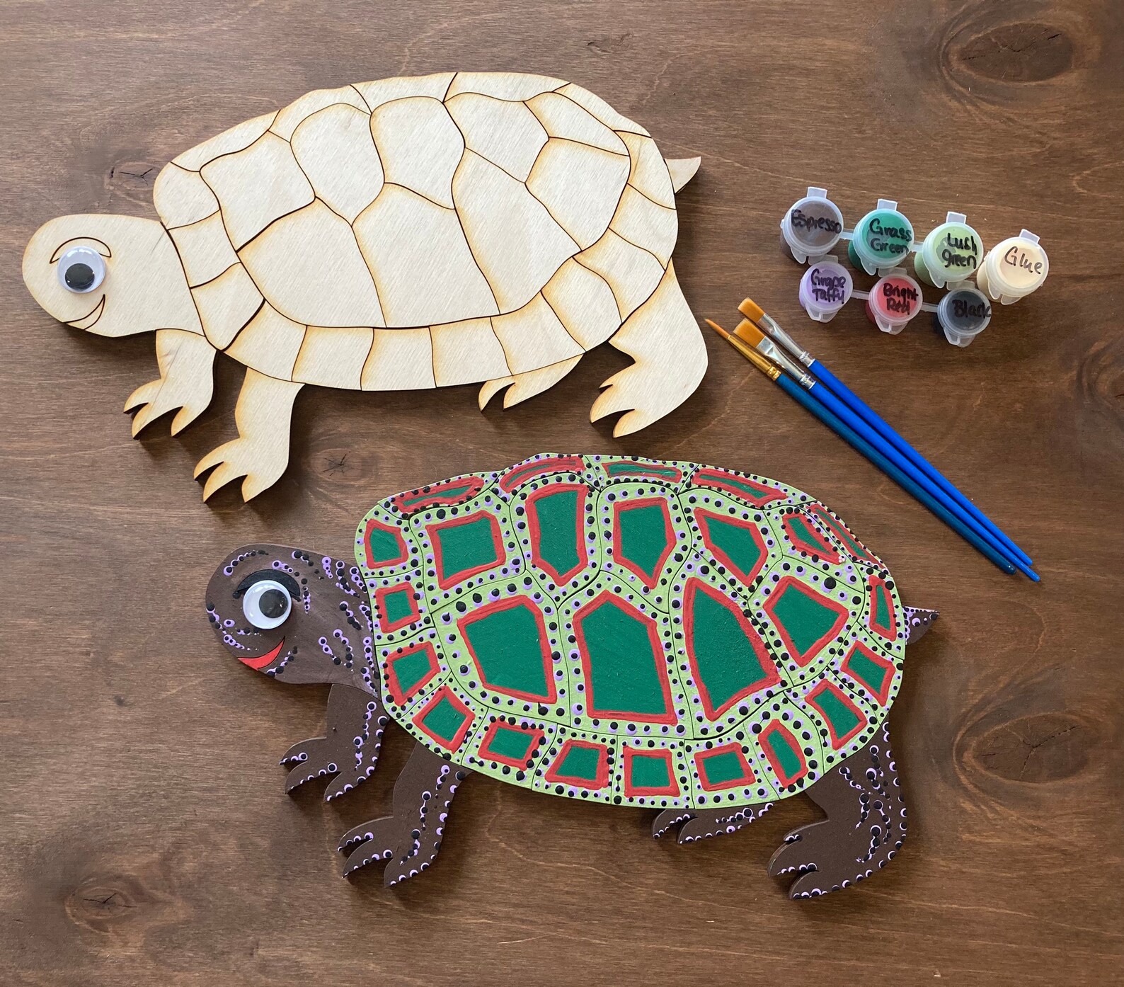 DIY Kit DIY Craft Kit Turtle Painting Kit Paint at Home - Etsy
