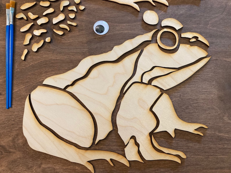 DIY Kit DIY Craft Kit Frog Painting Kit Paint at Home Kit - Etsy