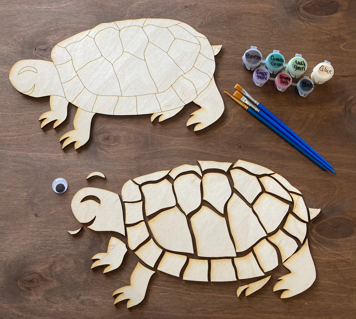 DIY Kit DIY Craft Kit Turtle Painting Kit Paint at Home - Etsy