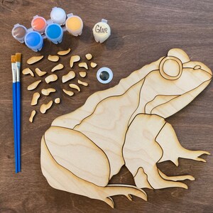 DIY Kit, DIY Craft Kit, Frog Painting Kit, Paint at Home Kit, Gift for ...