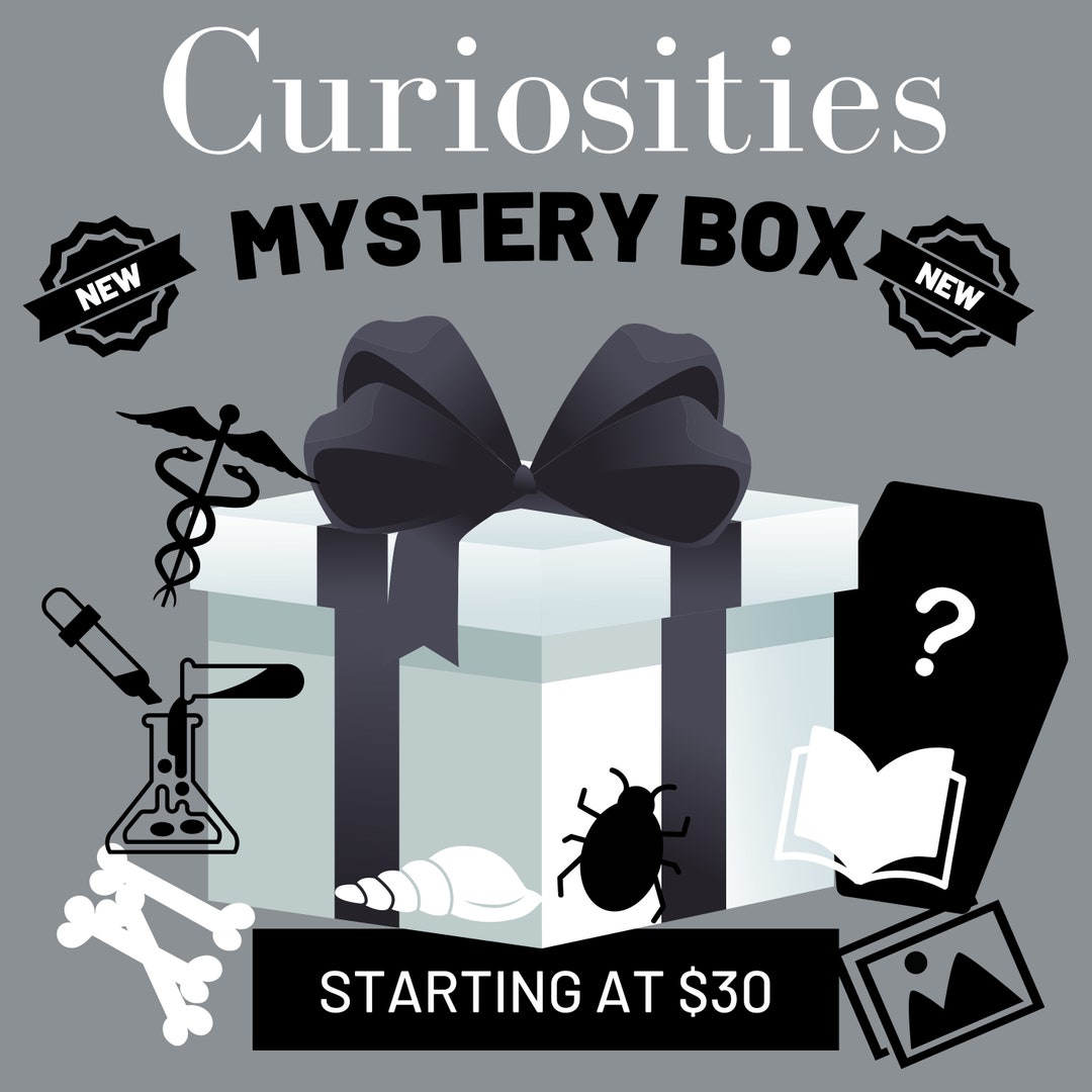 Curiosities Oddities Mystery Box Gifts for Weirdos Surprise Me Gift ...