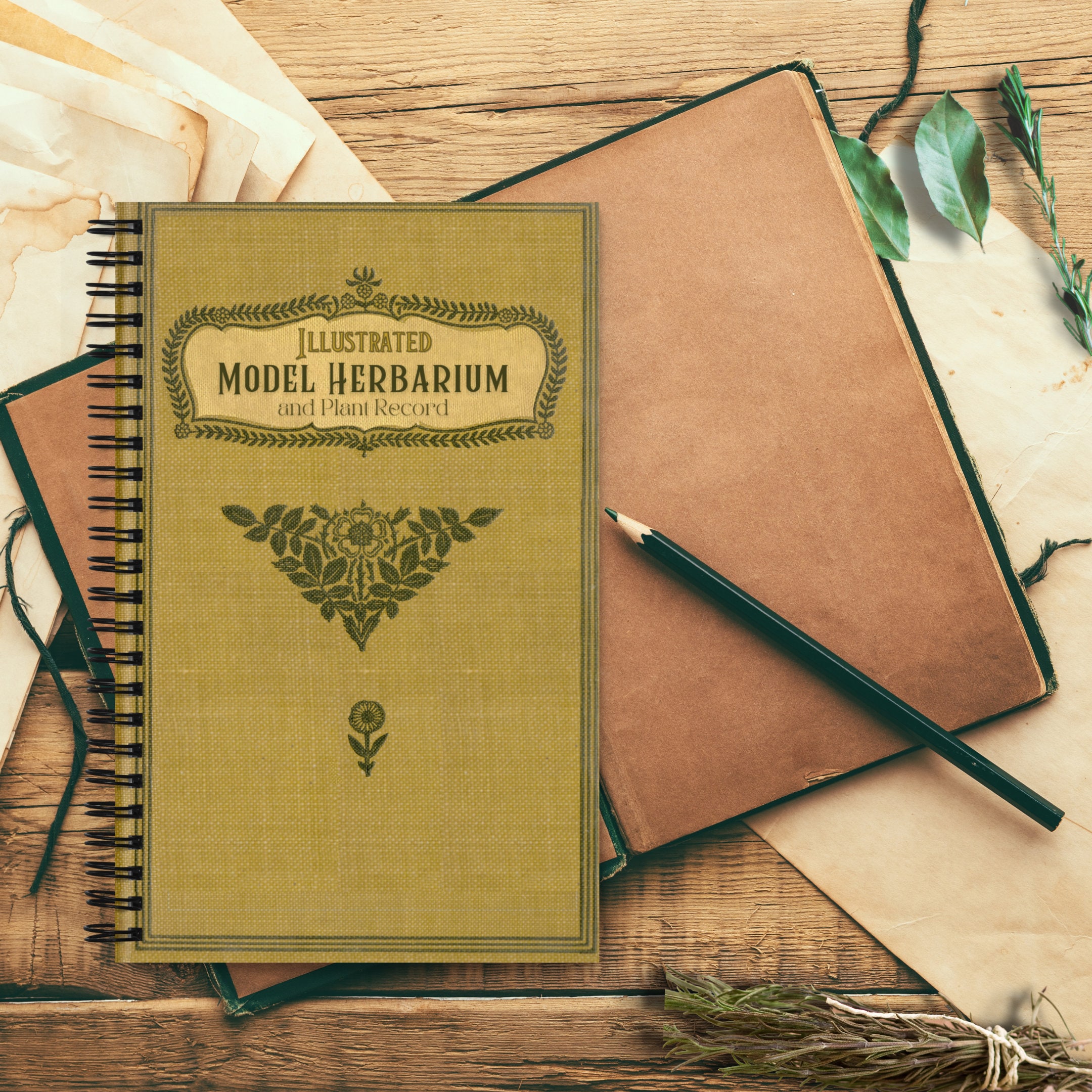 Dark Academia Journal Faux Book Cover Titled Illustrated - Etsy