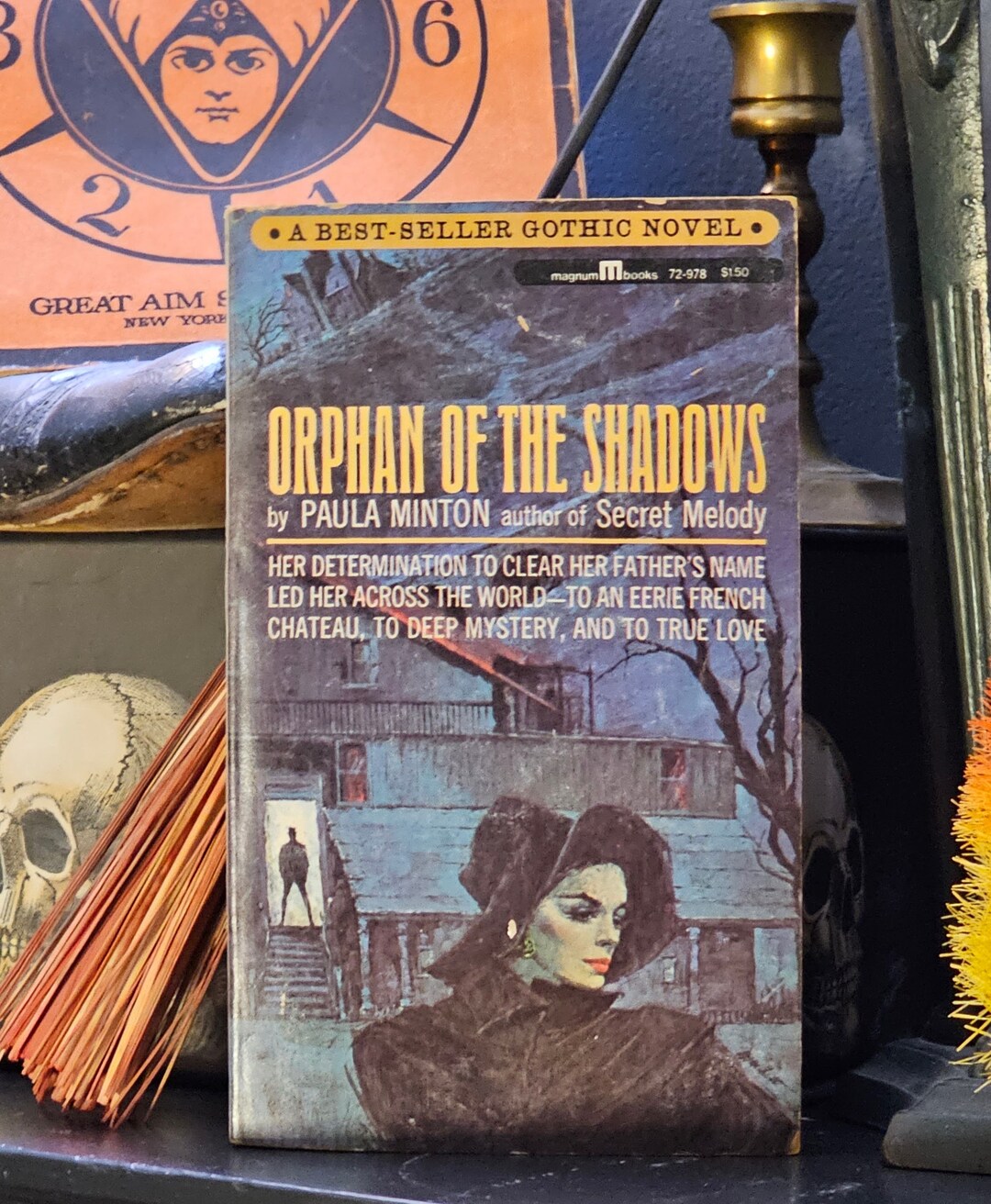 Orphan of the Shadows Vintage 1965 Gothic Romance Novel by Paula Minton ...