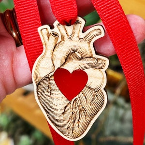 Anatomical Heart Ornament - 2 INCH - Heart Symbol Decoration - Etsy