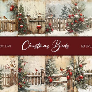 Vintage Christmas Birds Digital Paper Pack – Holiday Backgrounds for ...