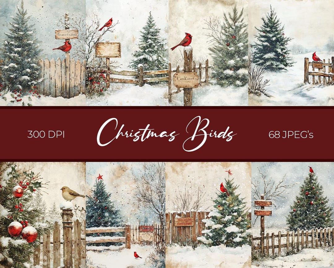Vintage Christmas Birds Digital Paper Pack – Holiday Backgrounds for ...