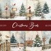 Vintage Christmas Birds Digital Paper Pack – Holiday Backgrounds for ...