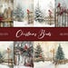 Vintage Christmas Birds Digital Paper Pack – Holiday Backgrounds for ...