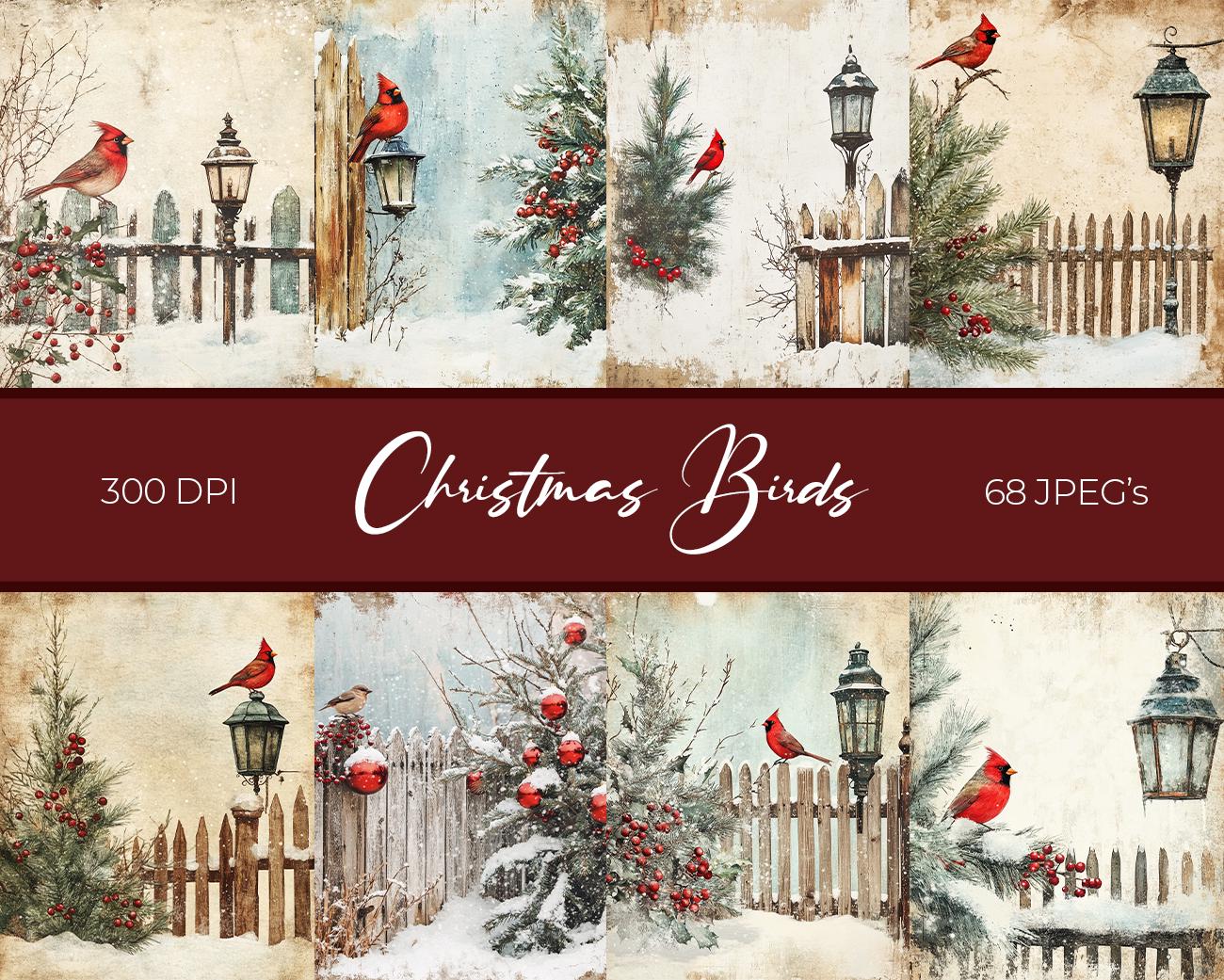 Vintage Christmas Birds Digital Paper Pack – Holiday Backgrounds for ...