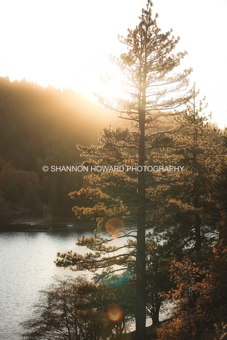 Lake Arrowhead Photography Art Print, Lake Photo Gold Sunset Pines ...