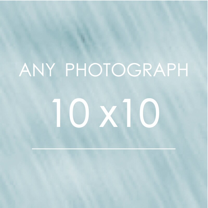 10x10 Canvas Art - Etsy