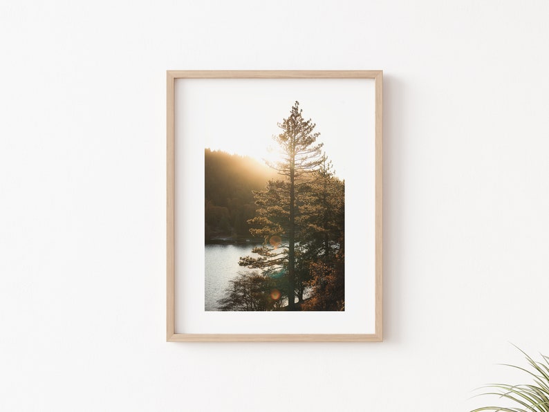 Lake Arrowhead Photography Art Print, Lake Photo Gold Sunset Pines ...