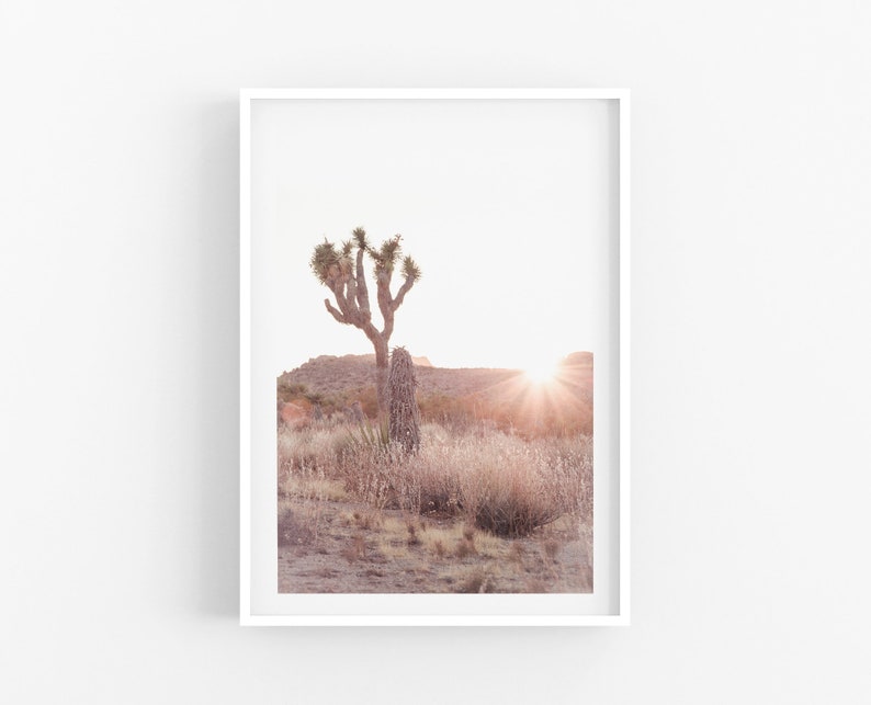 Joshua Tree Photography, Desert Art Print Bohemian Style California ...