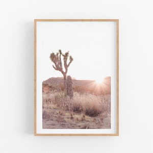 Joshua Tree Photography, Desert Art Print Bohemian Style California ...