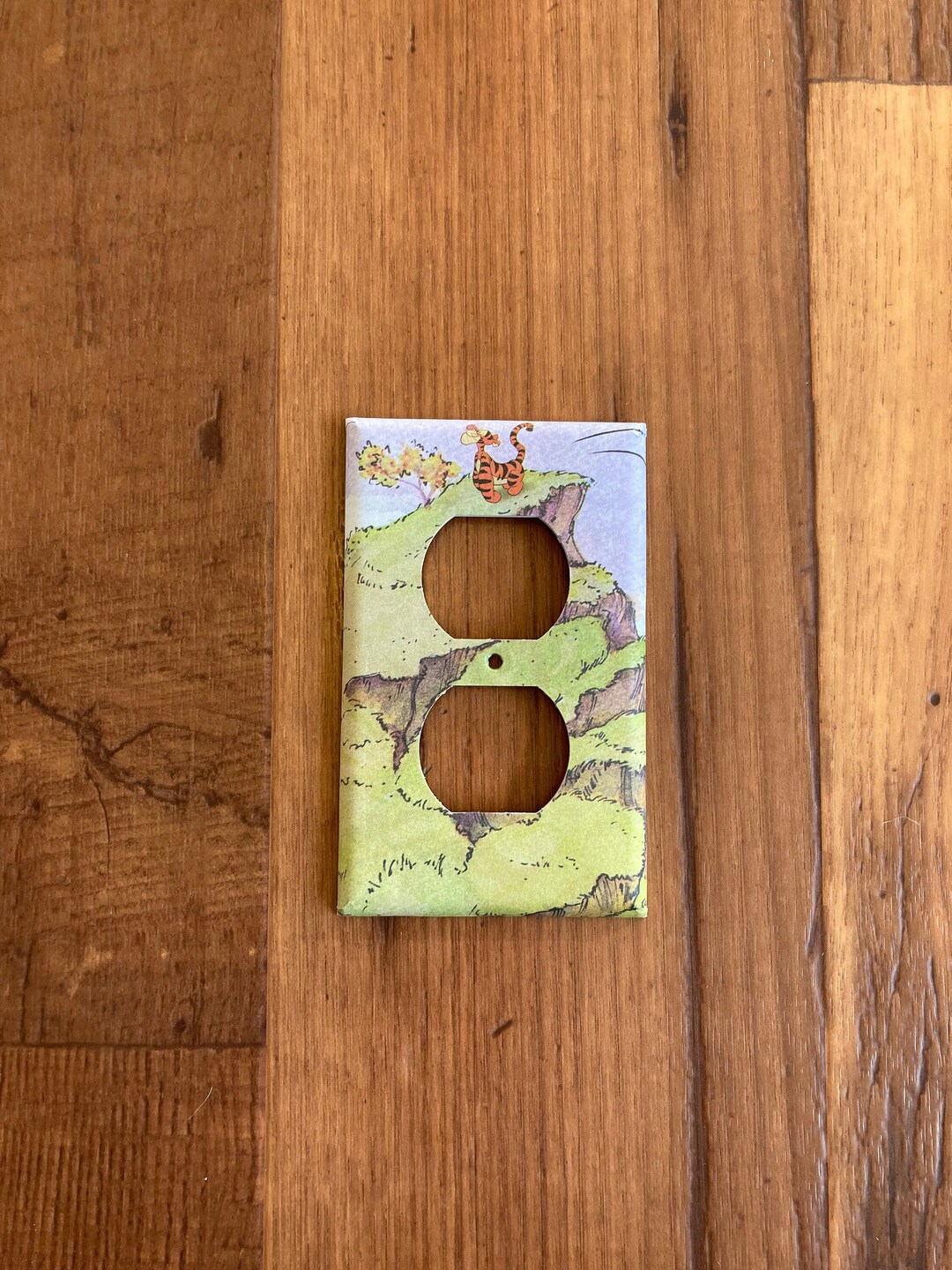 Tigger Electrical Outlet Cover Winnie the Pooh, WTP27 - Etsy