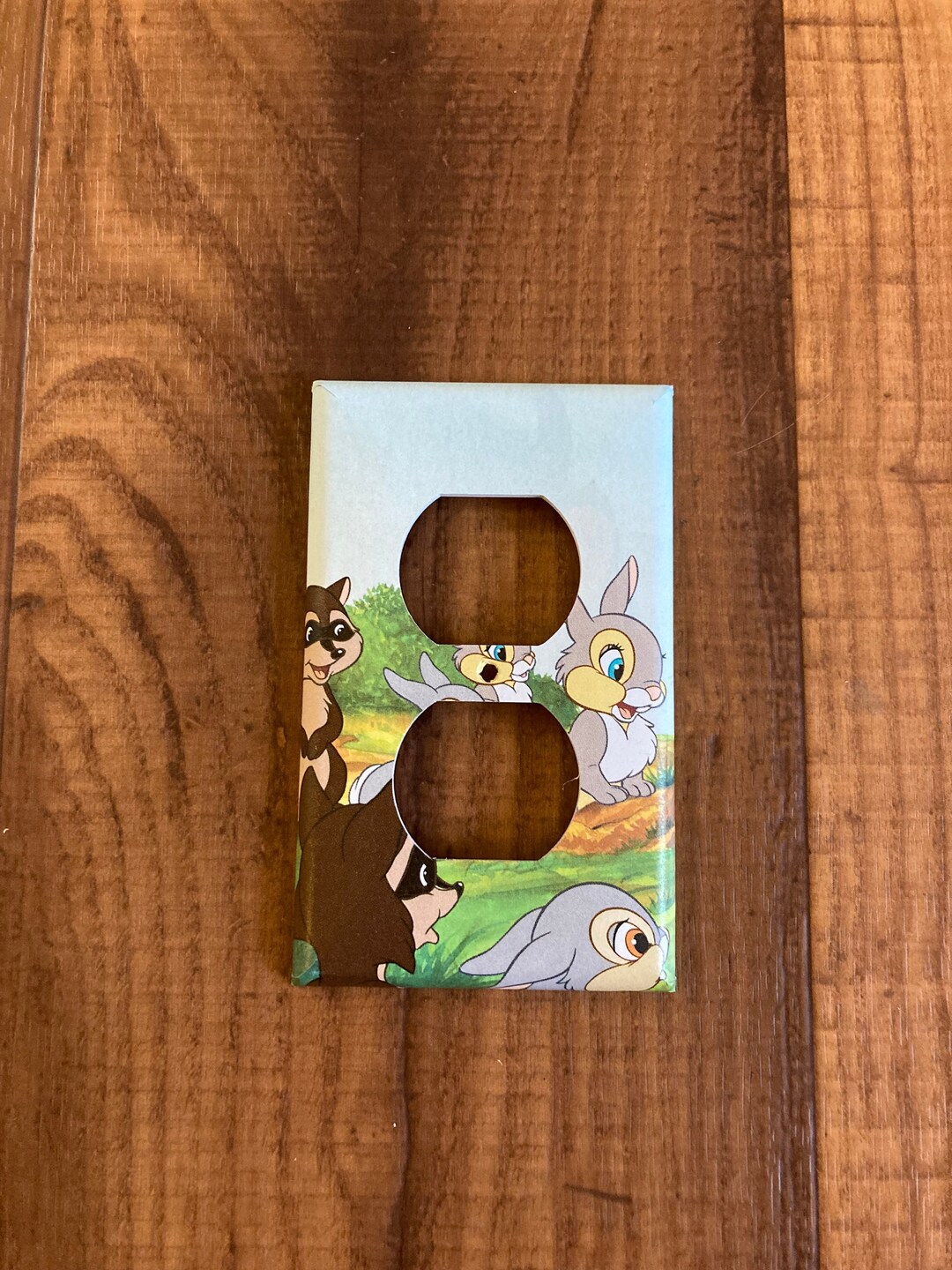 Thumper and His Family Electric Outlet Cover, BAM4 - Etsy